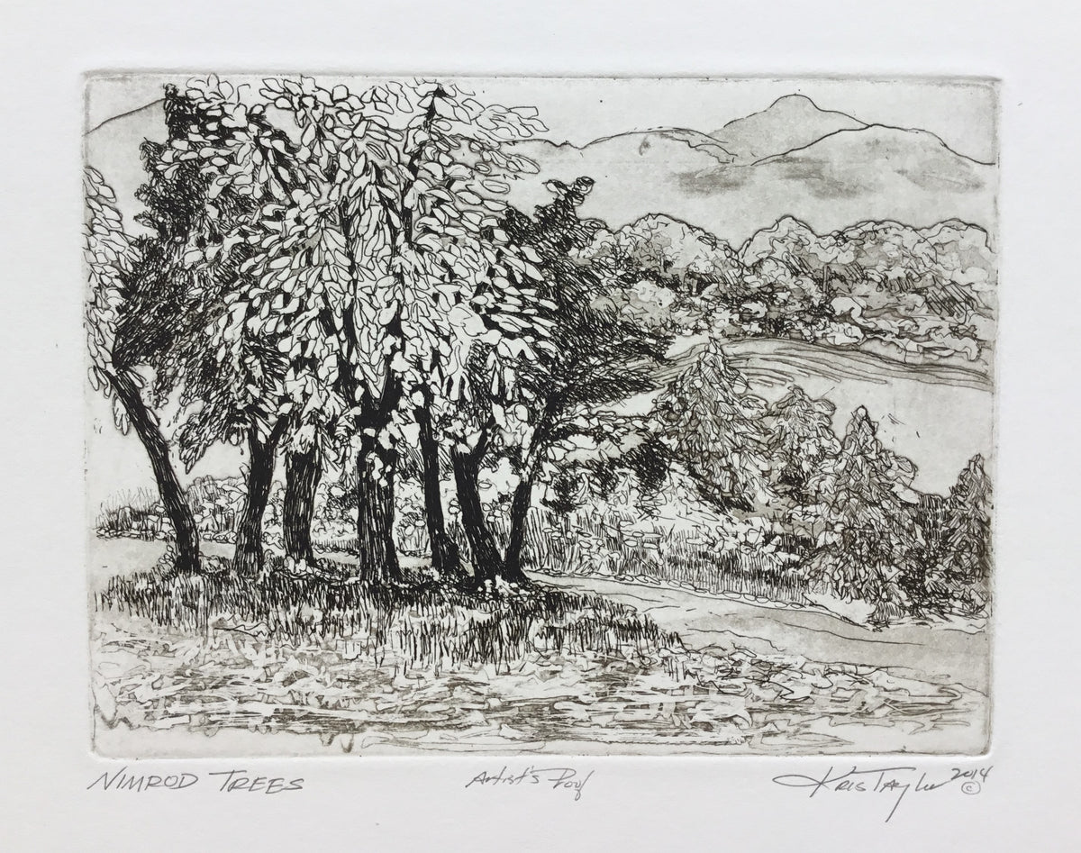 Nimrod Trees – Kris Taylor